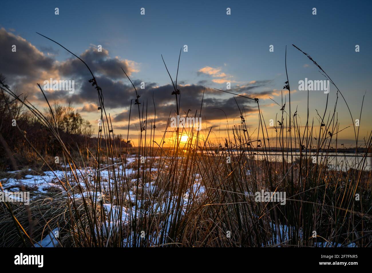 Chat Moss wetlands, Irlam, Salford, Manchester Stock Photo - Alamy