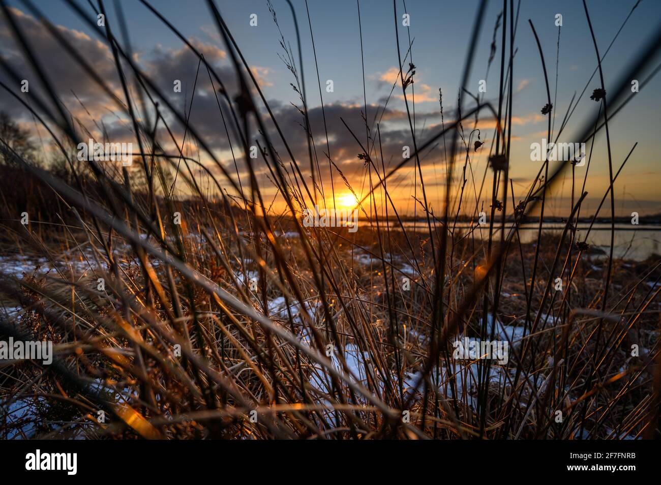 Chat Moss wetlands, Irlam, Salford, Manchester Stock Photo - Alamy