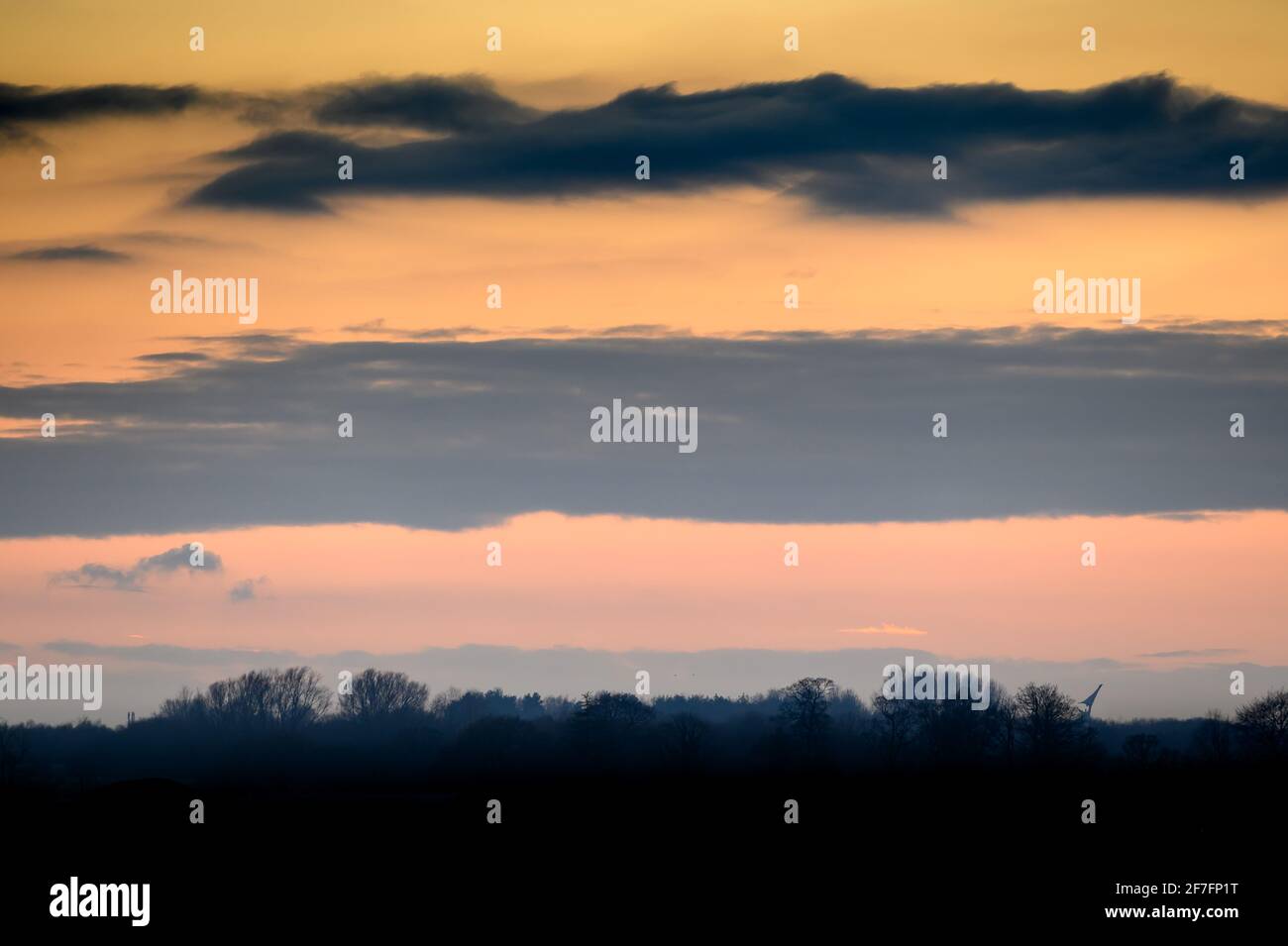 Sssi nest hi-res stock photography and images - Alamy