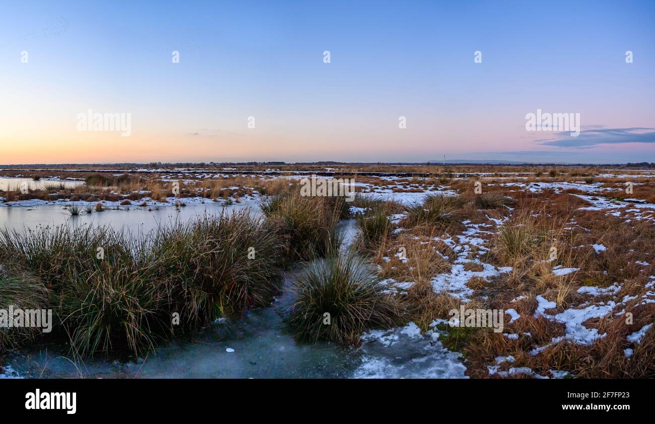 Chat Moss wetlands, Irlam, Salford, Manchester Stock Photo - Alamy