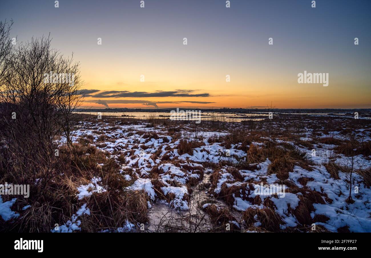 Chat Moss wetlands, Irlam, Salford, Manchester Stock Photo - Alamy