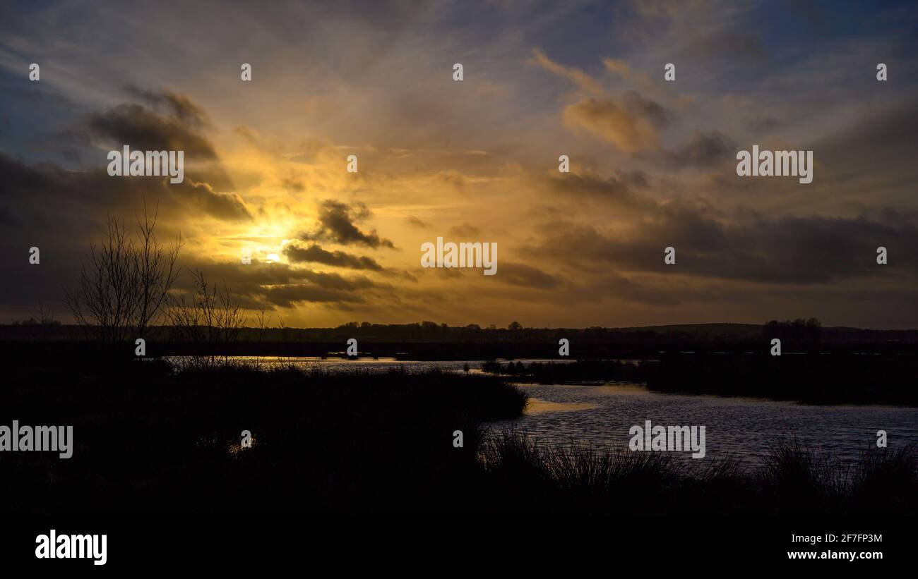 Chat Moss wetlands, Irlam, Salford, Manchester Stock Photo - Alamy