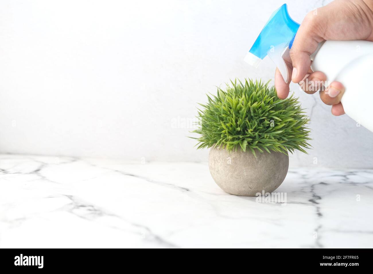 hand holding spray bottle watering plan on table with copy space Stock ...