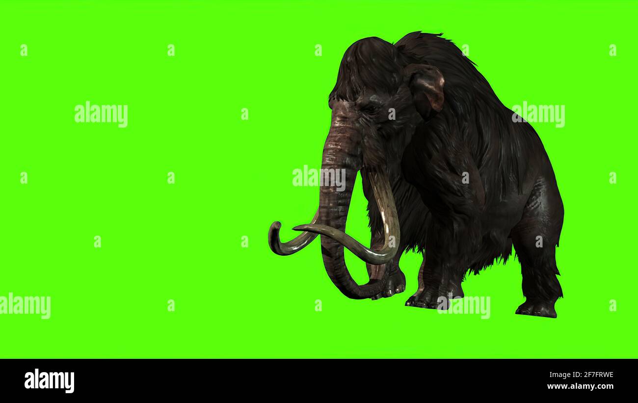 3D Rendering - Mammoth Attacks Side on Green screen Stock Photo - Alamy