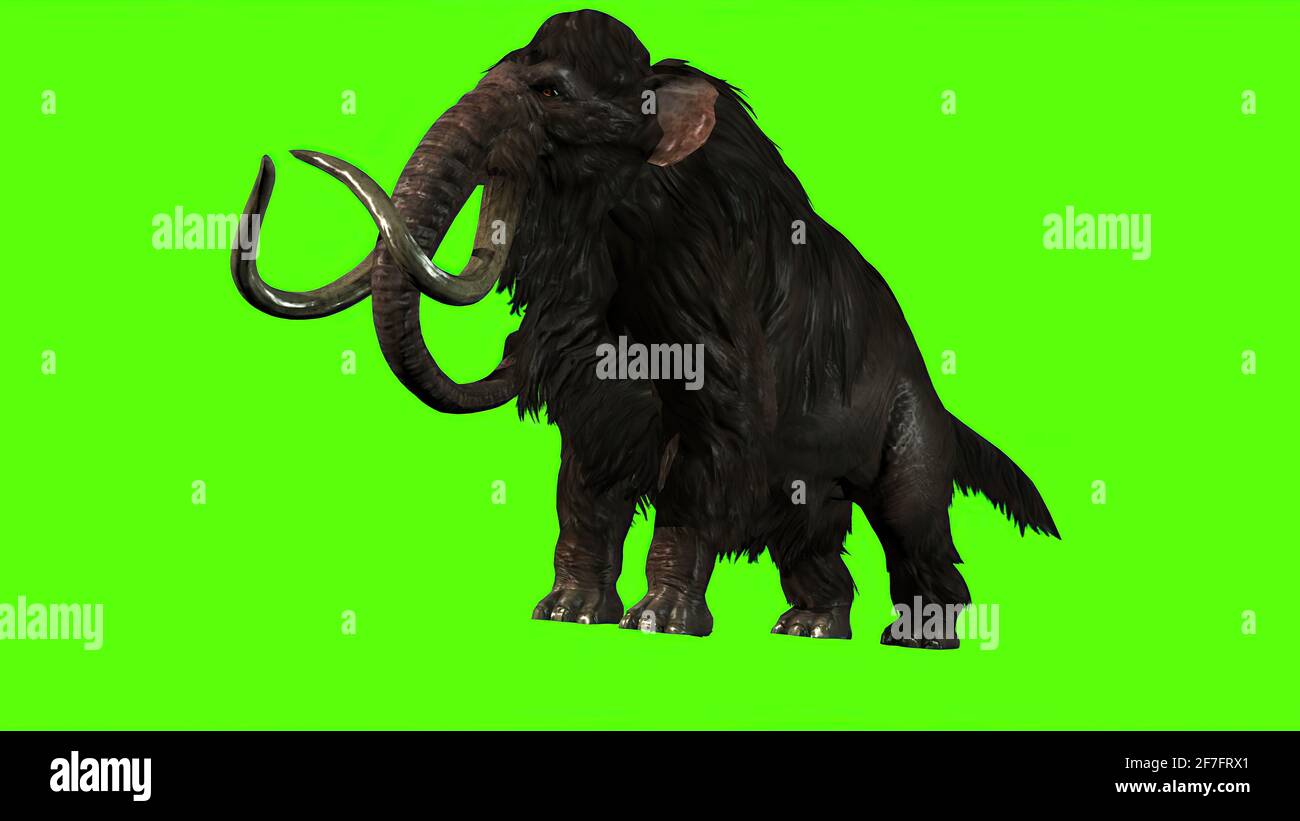 3D Rendering - Mammoth Attacks Side on Green screen Stock Photo - Alamy