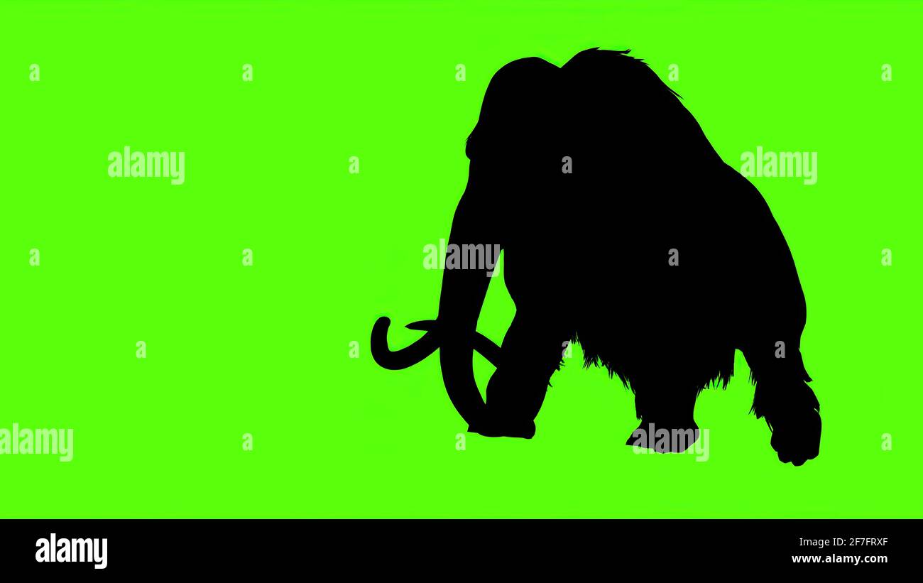 3d rendering - silhouette of Mammoth Attacks Side on Green screen Stock ...