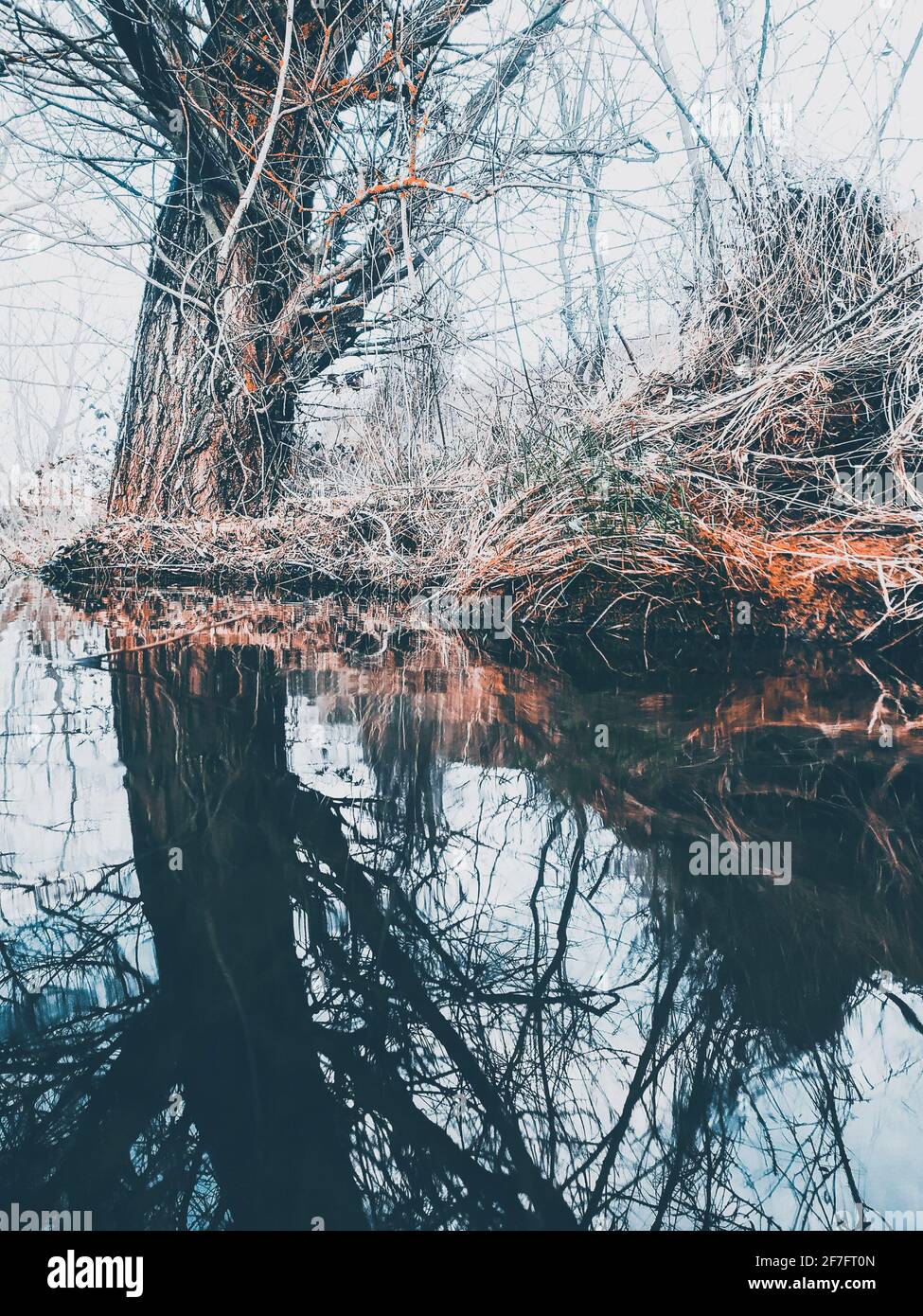 The reflection of the season hi-res stock photography and images - Alamy