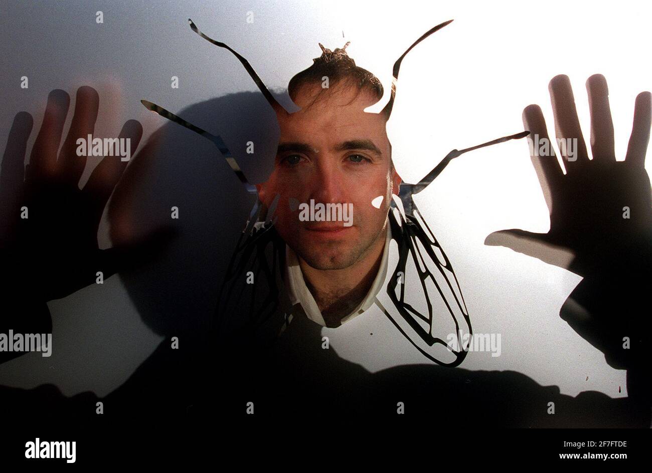 adam driscoll, ceo of channelfly (music). photographed by mark chilvers ...