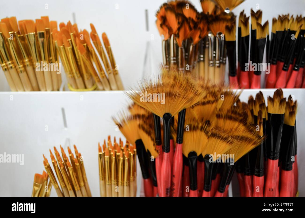 Brush coral hi-res stock photography and images - Alamy