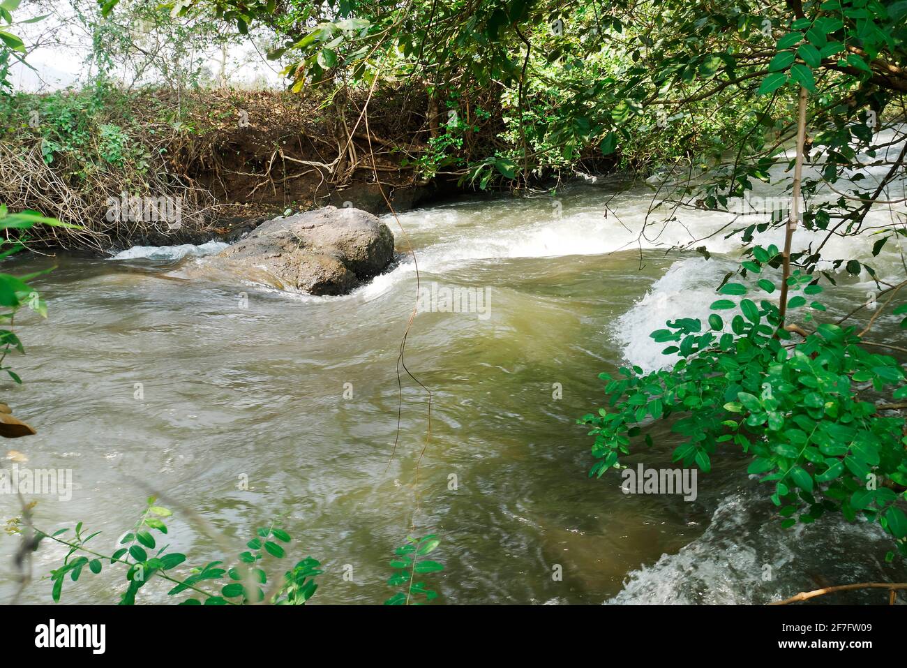 LANDSCAPE OF AGRICULTURAL LAND IN KARJAT, MAHARASHTRA, INDIA, WITH ...