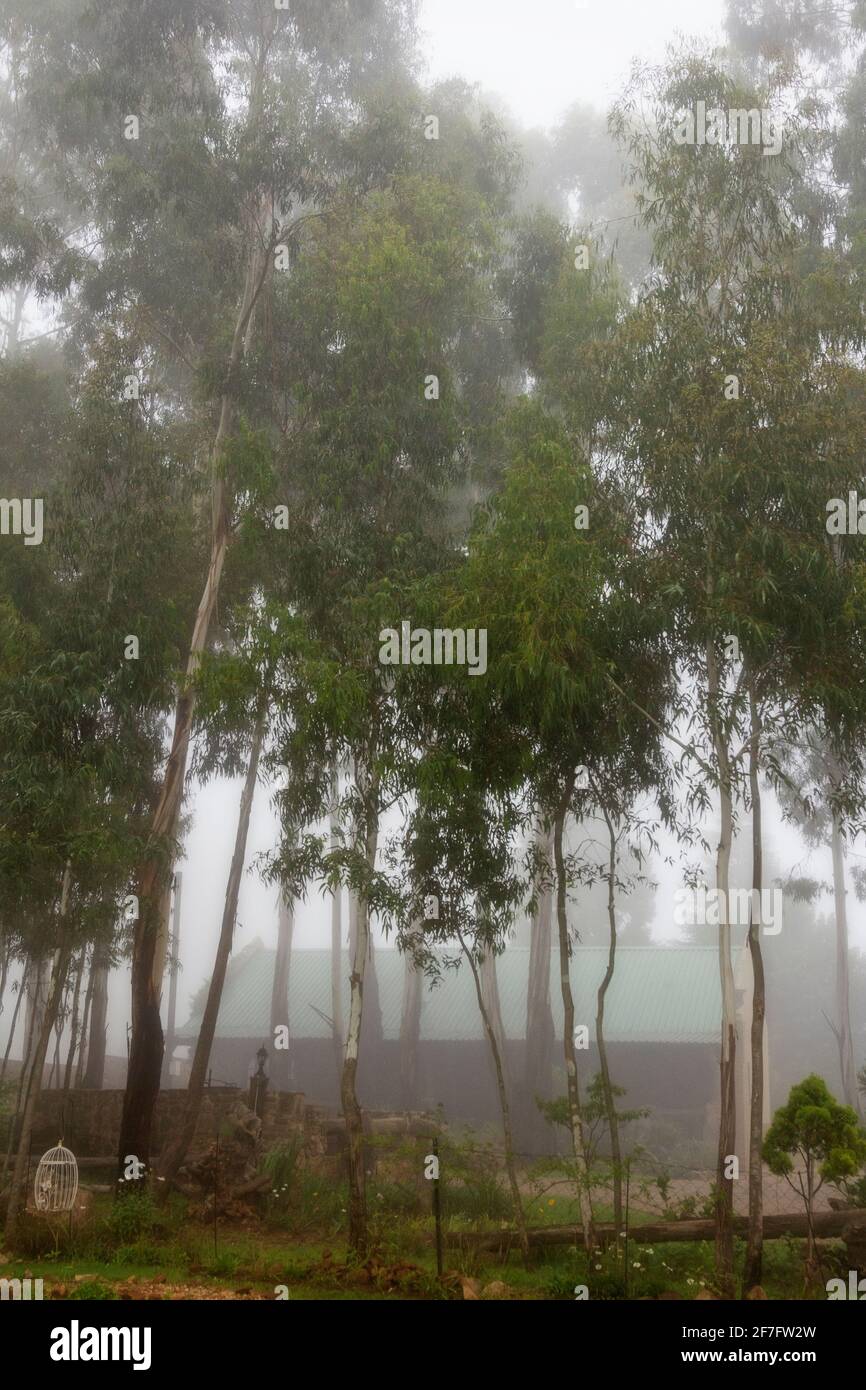 Cottages in the mist hi-res stock photography and images - Alamy