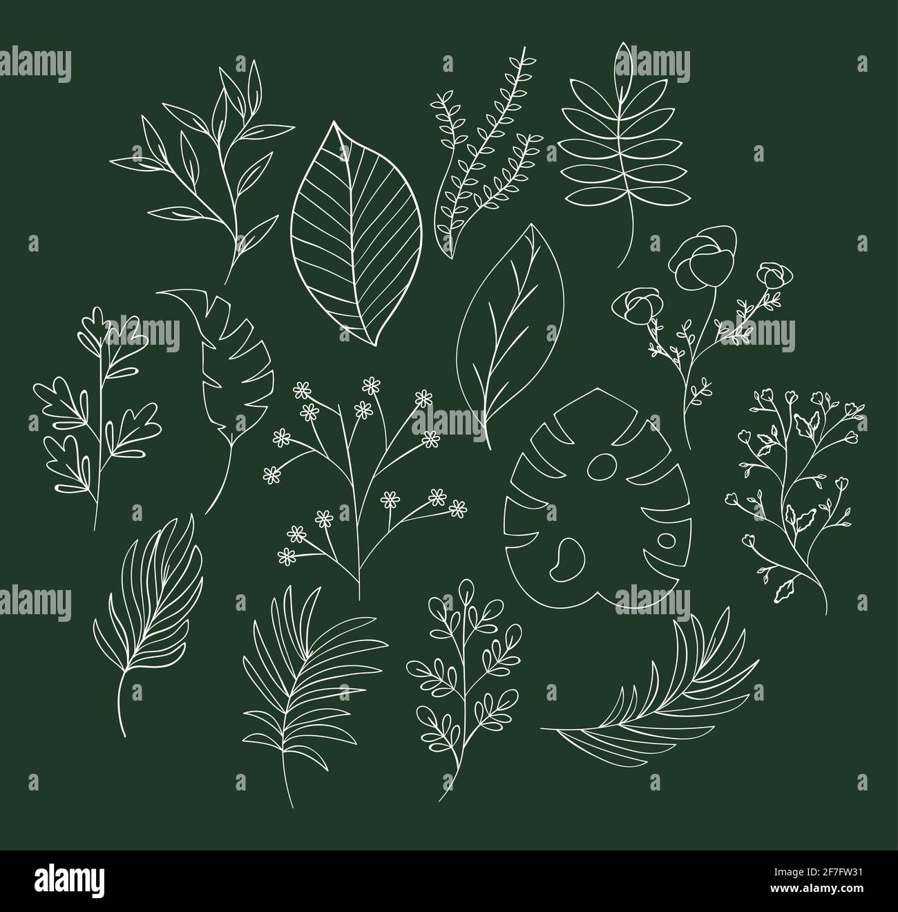 aesthetic botanical illustration on background Stock Vector Image & Art ...