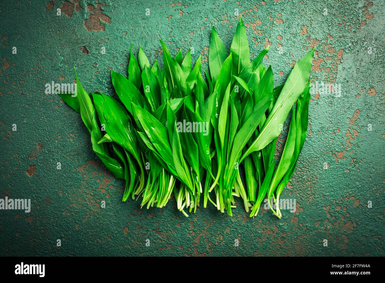 Ramson or bear leek (Allium ursinum) on kitchen table Stock Photo - Alamy