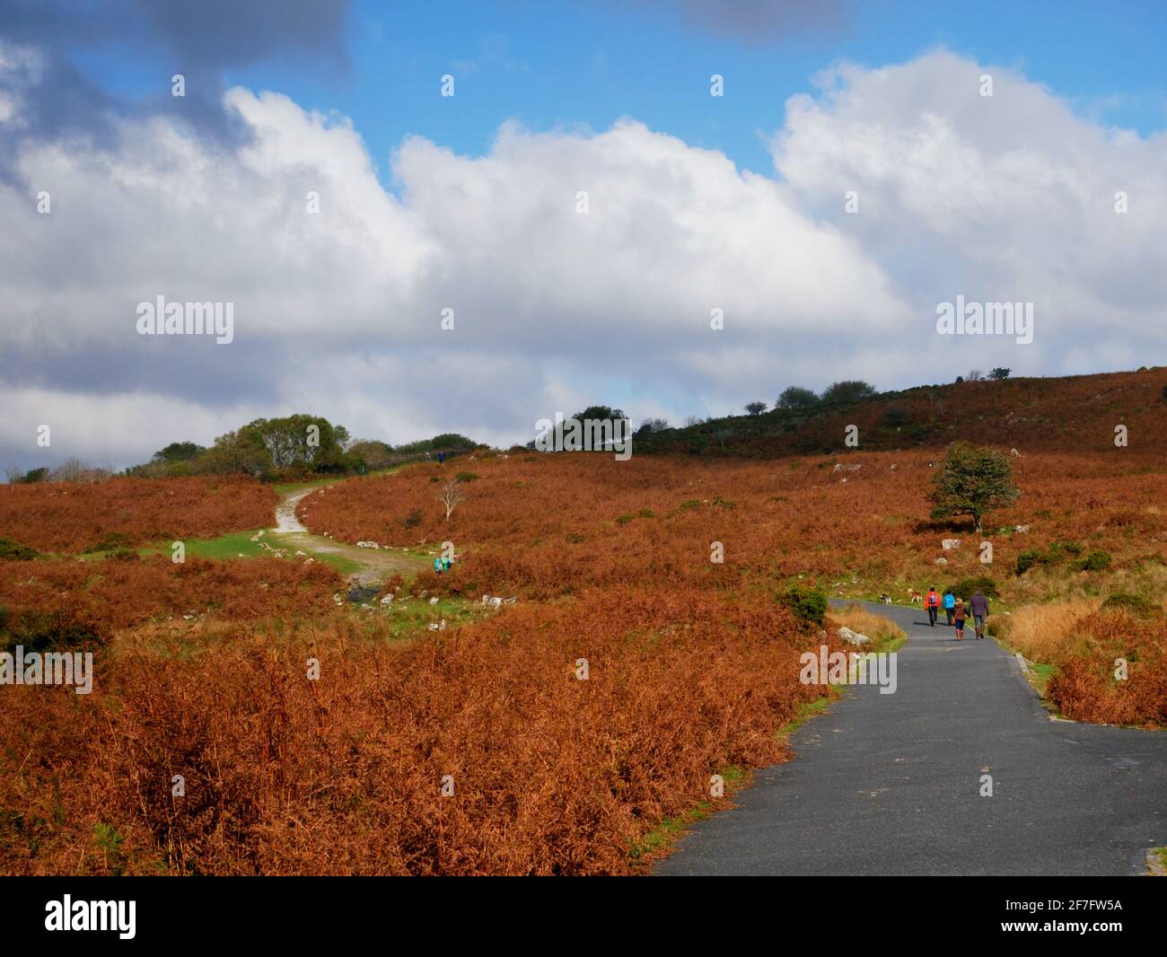 The path up to the Avon Dam on Dartmoor, Devon Stock Photo - Alamy