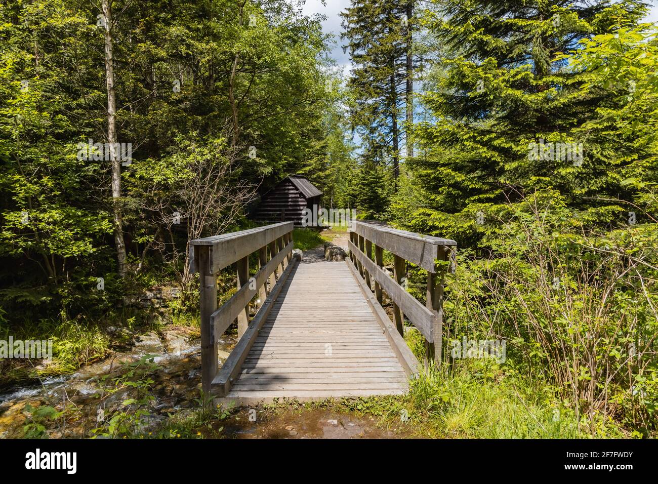 Small wooden bridge next to wooden bower on mountain trail in Giant ...