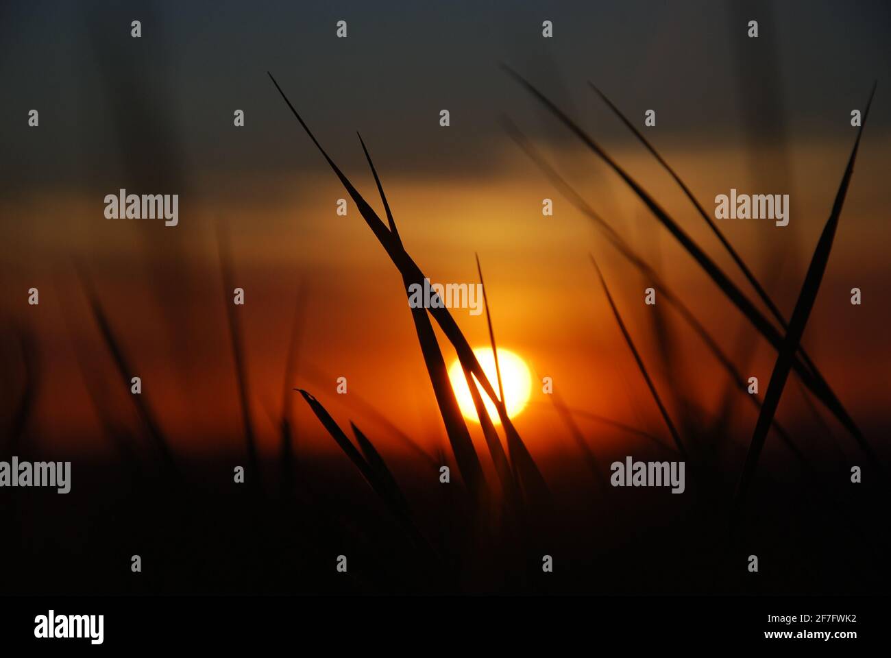 Cutting the Sun Stock Photo - Alamy