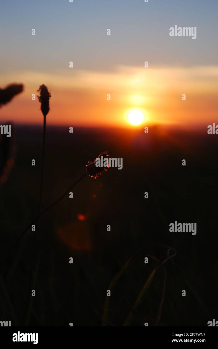 Focal blur hi-res stock photography and images - Alamy