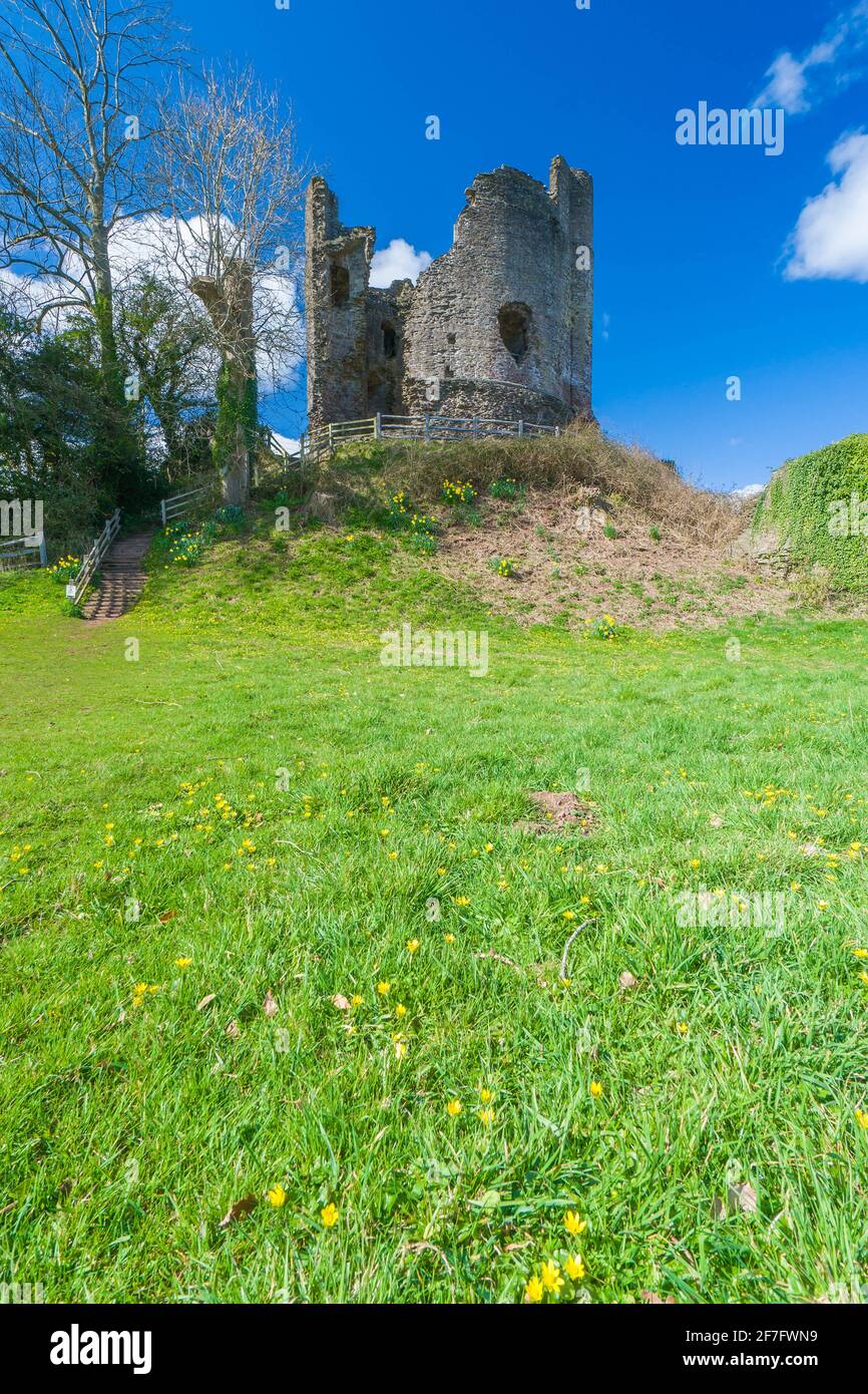 The remains of a 12th century Keep Longtown castle, Herefordshire UK ...