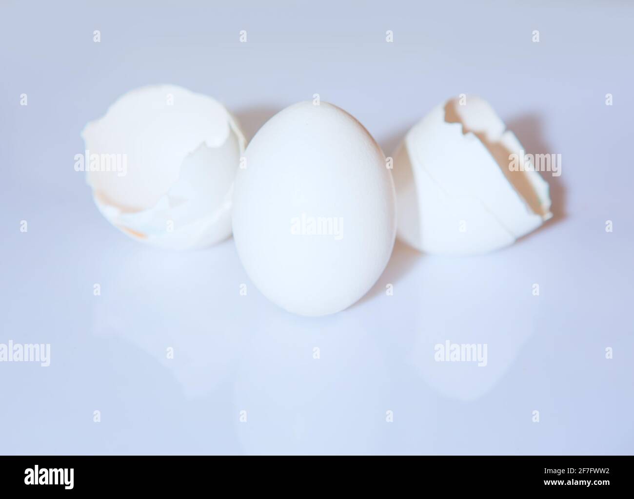 egg and egg shell on white background Stock Photo - Alamy