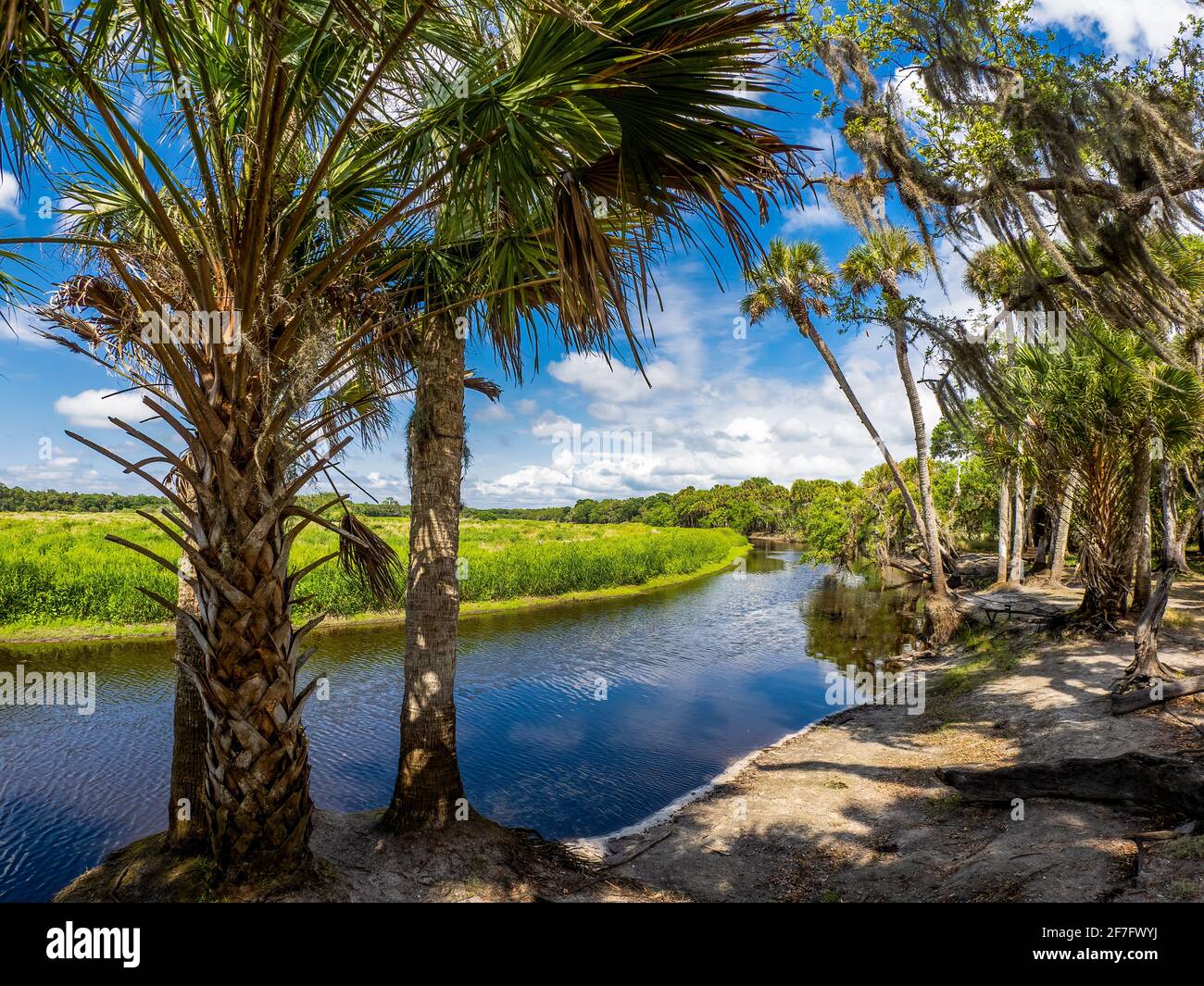 Myakka River at Fishermans Loop in Myakka River State Park in Sarasota ...