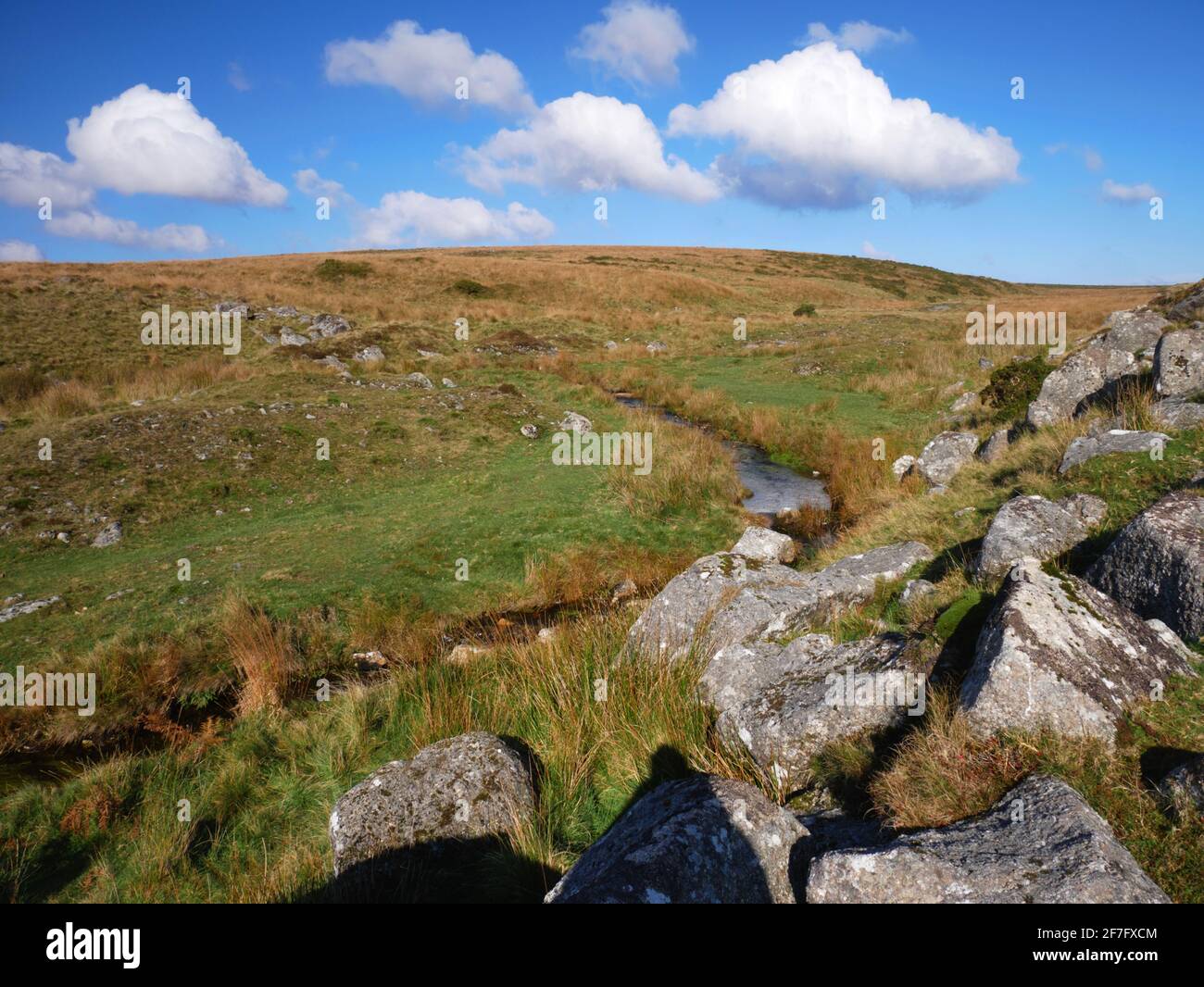 Dartmoor stream hi-res stock photography and images - Alamy