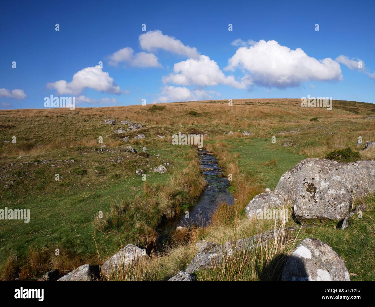Dartmoor stream hi-res stock photography and images - Alamy