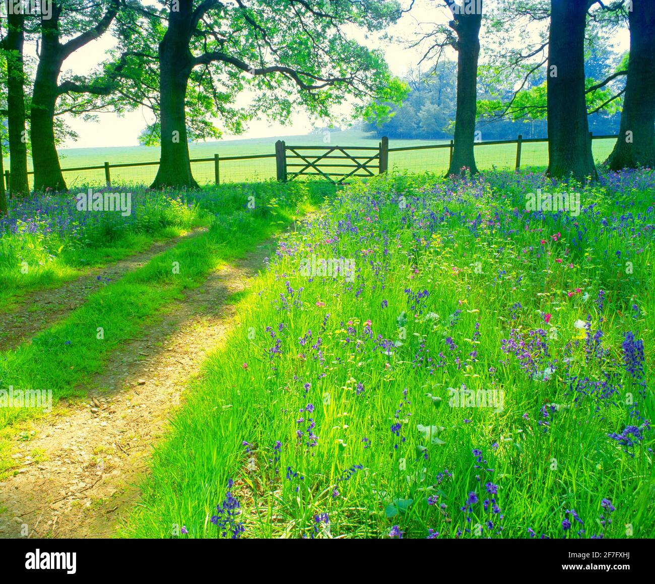 Farming and uk and gate and atmospheric hi-res stock photography and ...