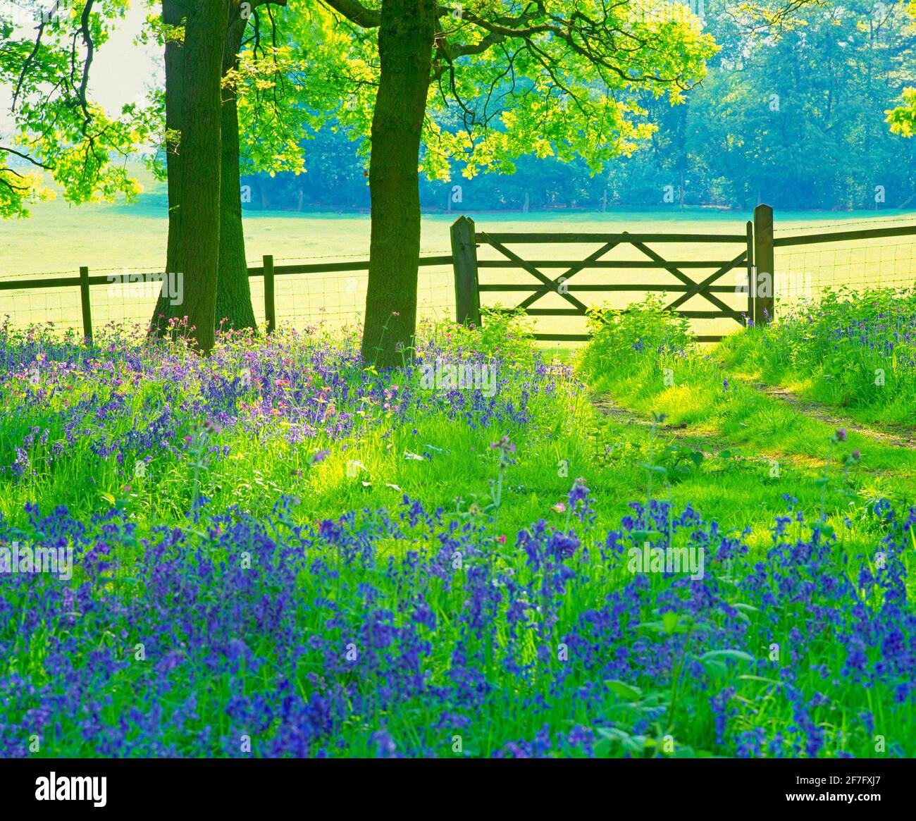 Shaded Gate High Resolution Stock Photography and Images - Alamy