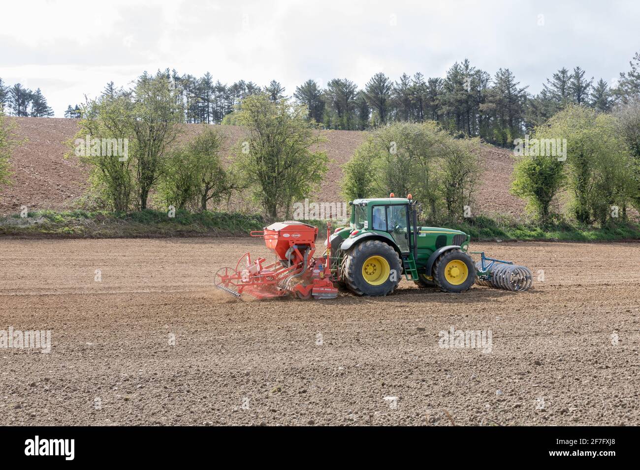Sow barley hi-res stock photography and images - Alamy
