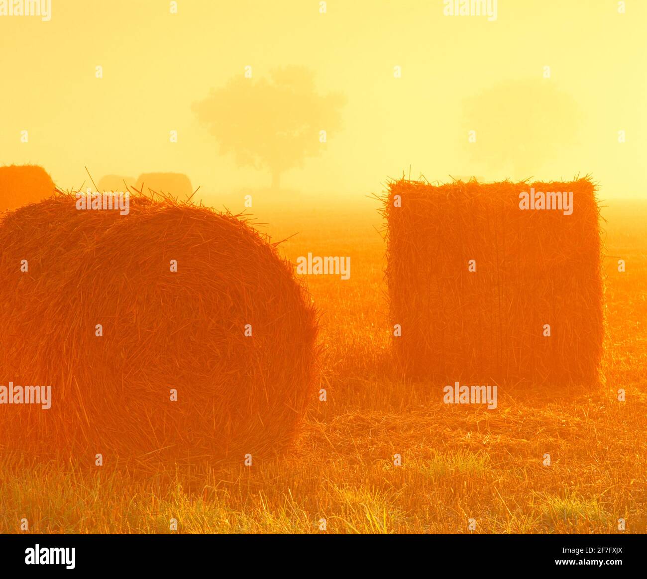 big bales at dawn Stock Photo - Alamy