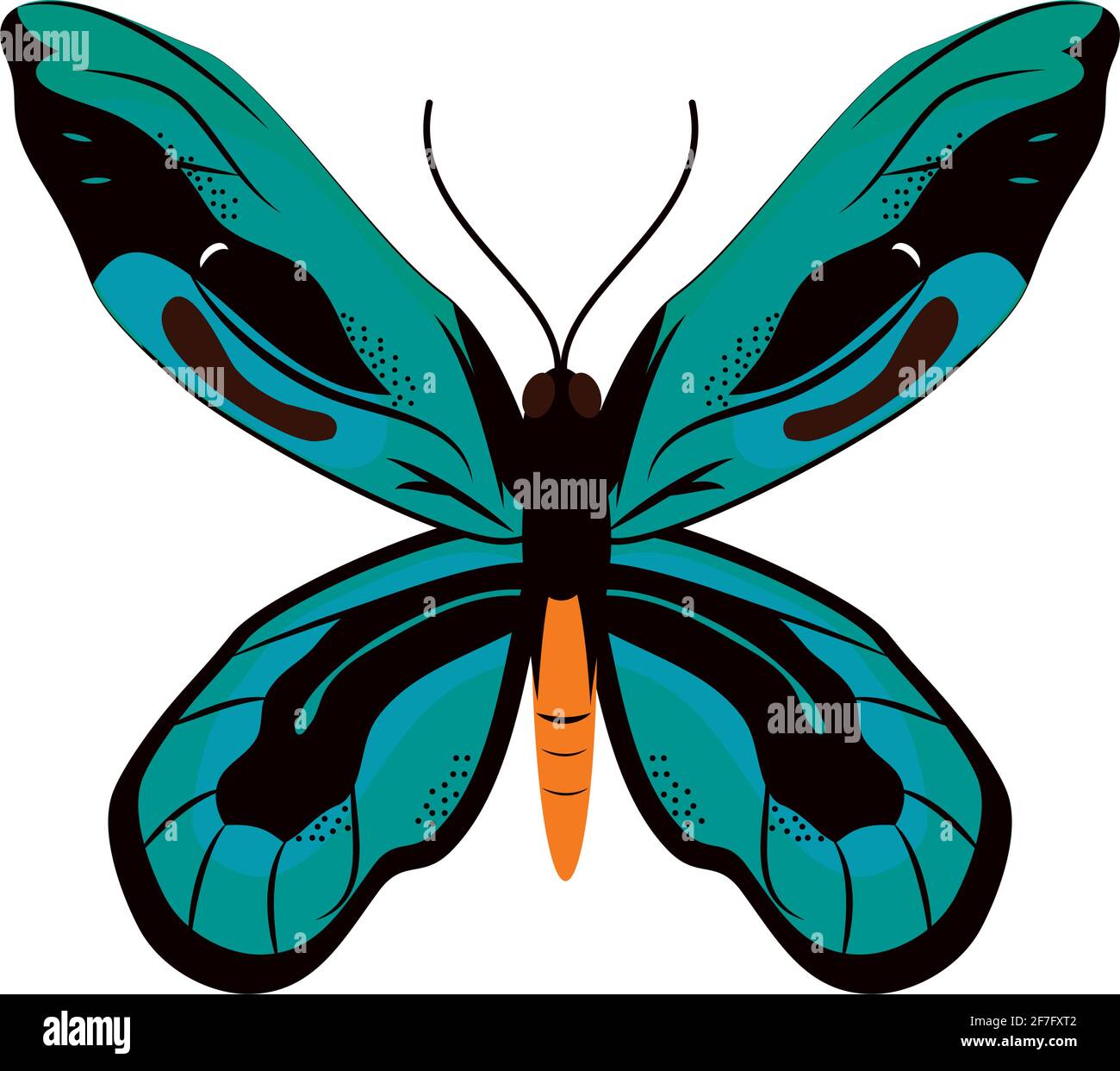 Turquoise insect Stock Vector Images - Alamy