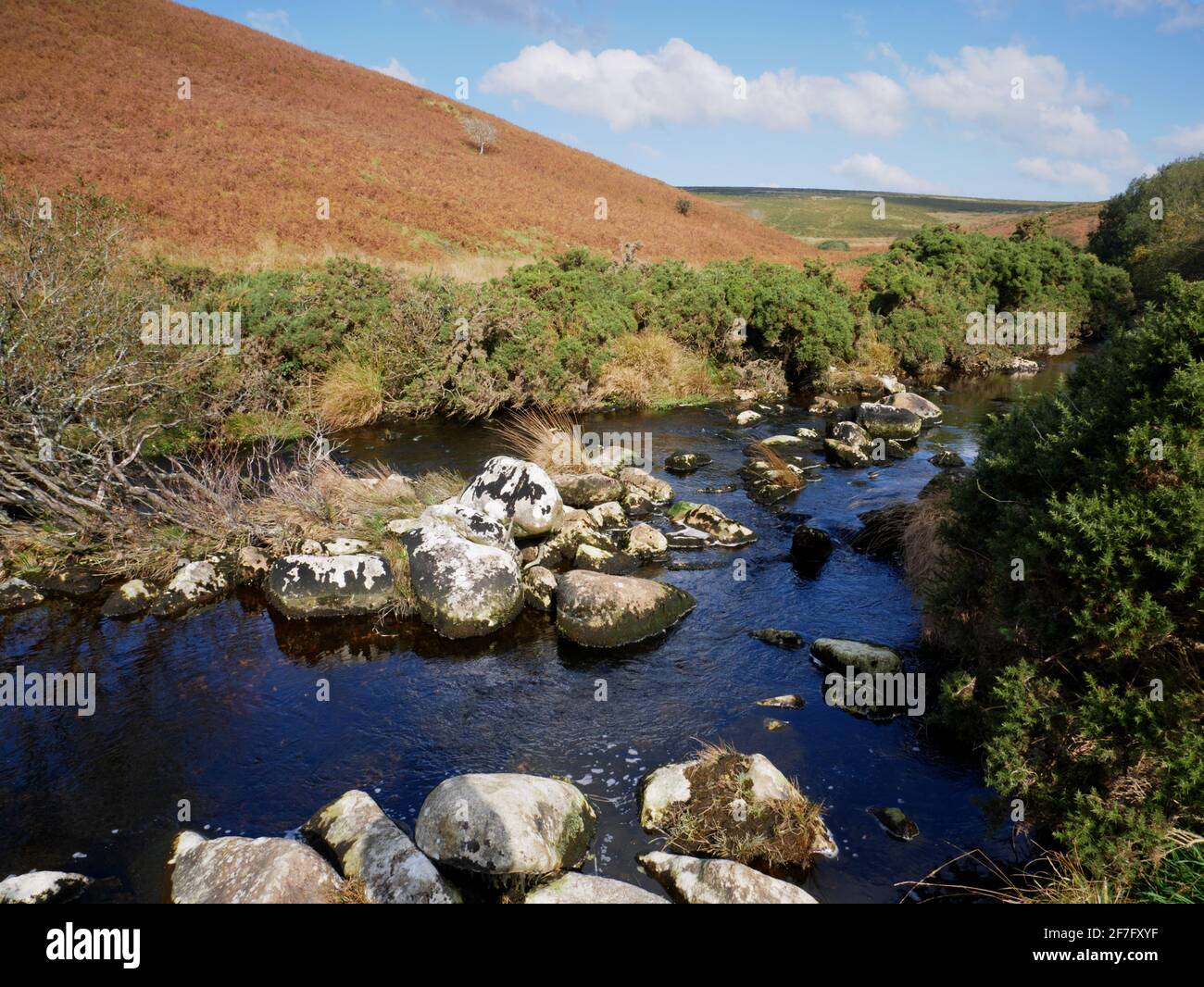 The River Avon flows towards Shipley Bridge near South Brent, Dartmoor ...