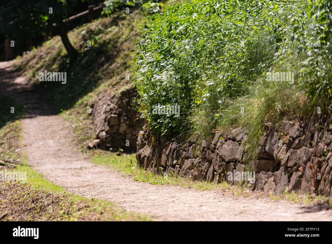 The path that goes under the rock. A trampled path with a paved ...