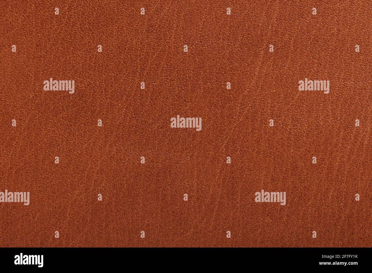 Brown leather texture surface macro close up view Stock Photo - Alamy