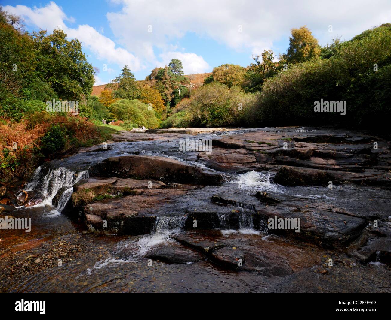 The River Avon near Shipley Bridge on Dartmoor, Devon Stock Photo - Alamy