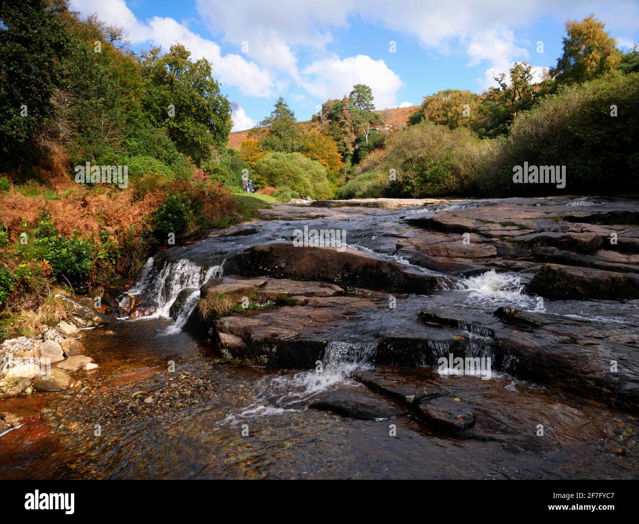 The River Avon near Shipley Bridge on Dartmoor, Devon Stock Photo - Alamy