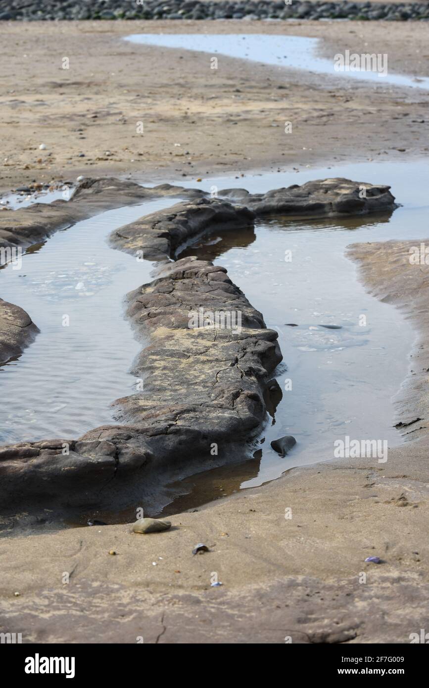 Natural mud and clay formations on the beach at low tide Stock Photo ...