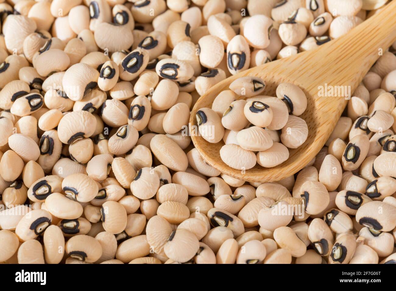 Black eye bean - Vigna unguiculata Stock Photo - Alamy