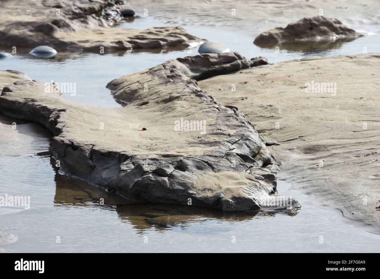 Natural mud and clay formations on the beach at low tide Stock Photo ...