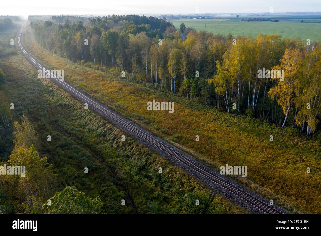 aerial view of railroad in forest at foggy autumn morning, top view of ...