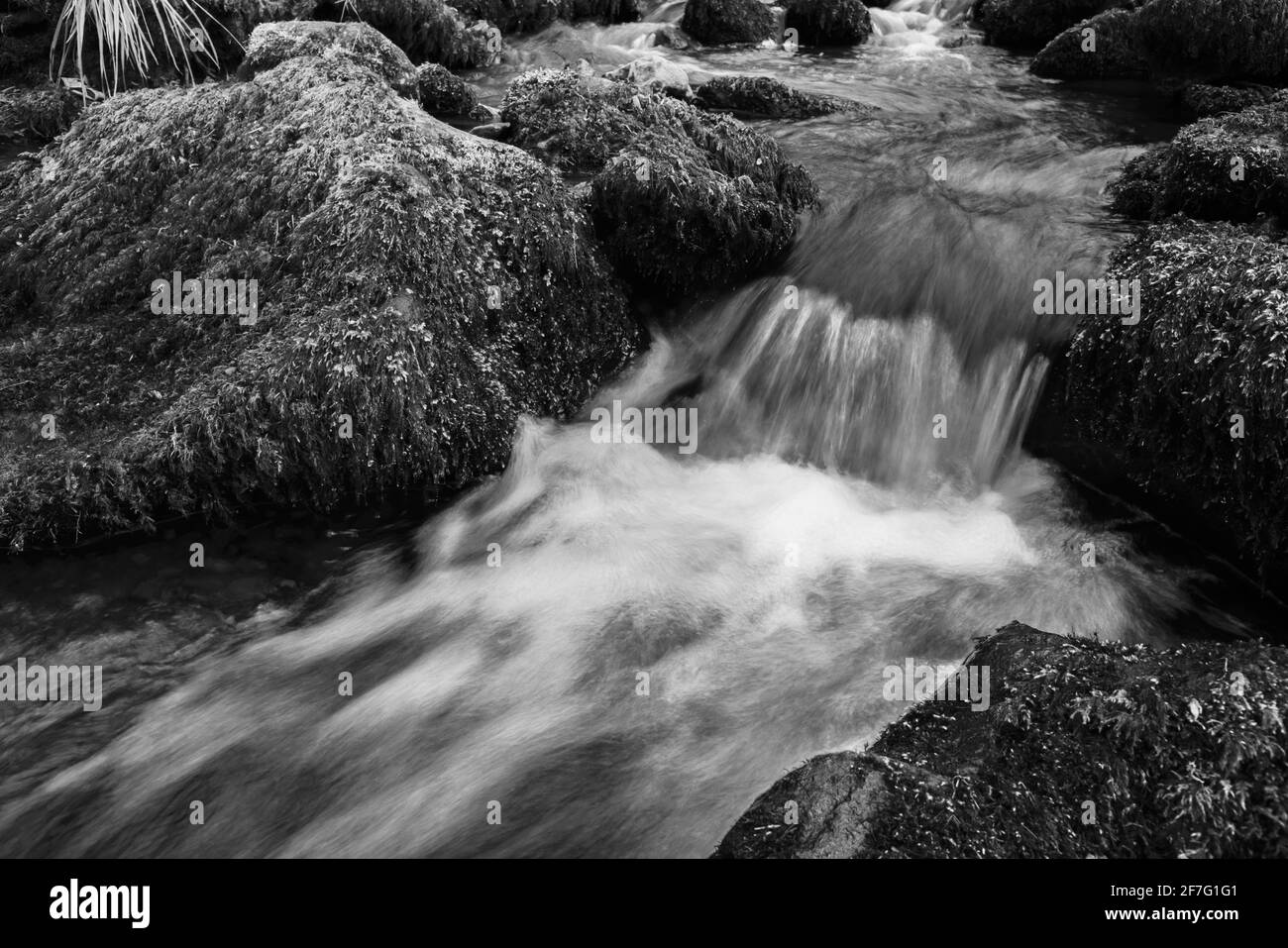Small stream, creek or brook in the mountains running and flowing over ...