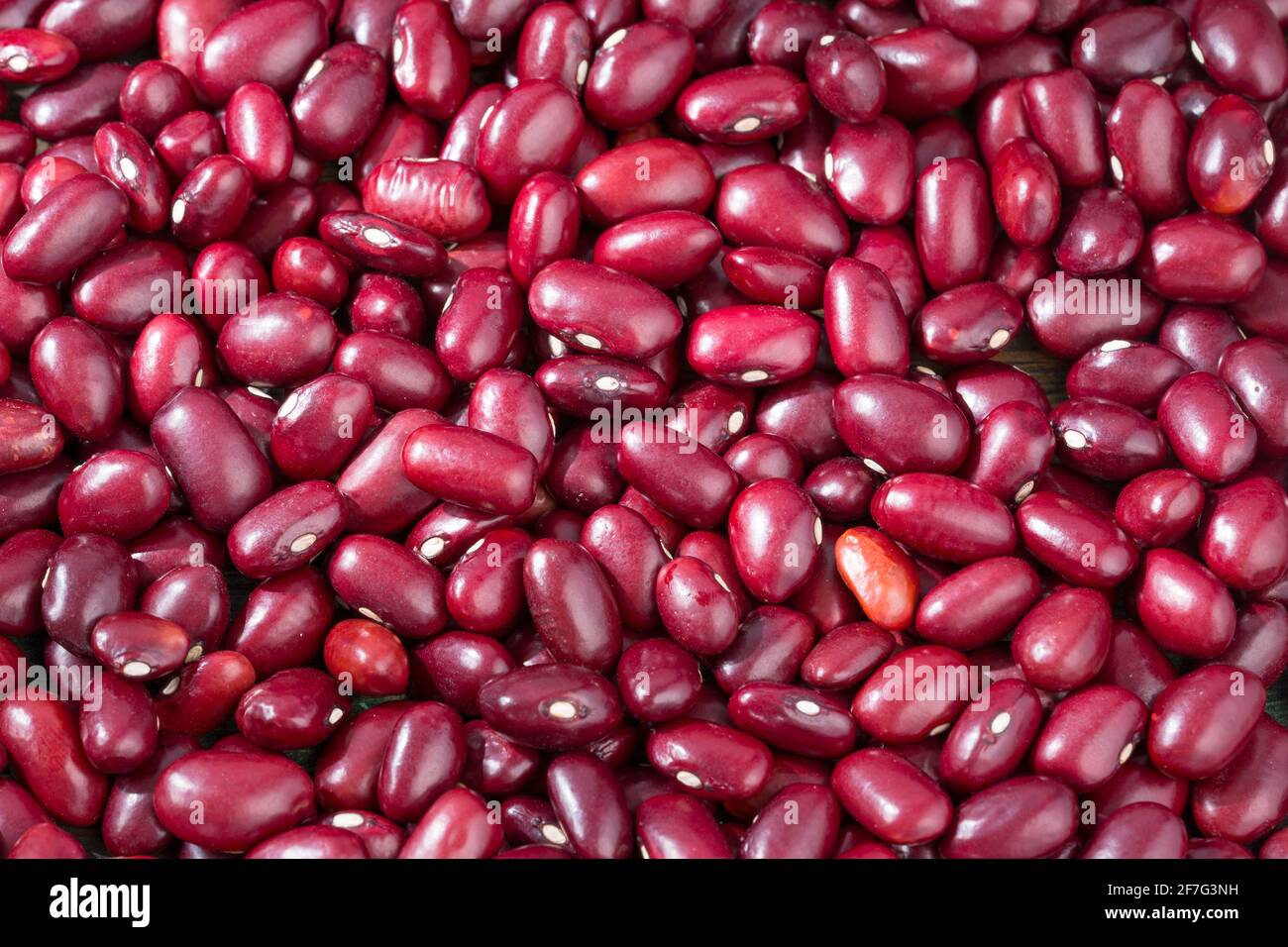 Raw red beans - Phaseolus vulgaris Stock Photo - Alamy