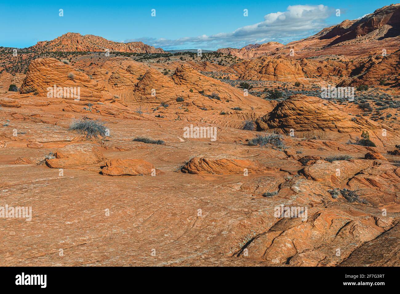 The wave an amazing geological rock formation in the North Coyote ...