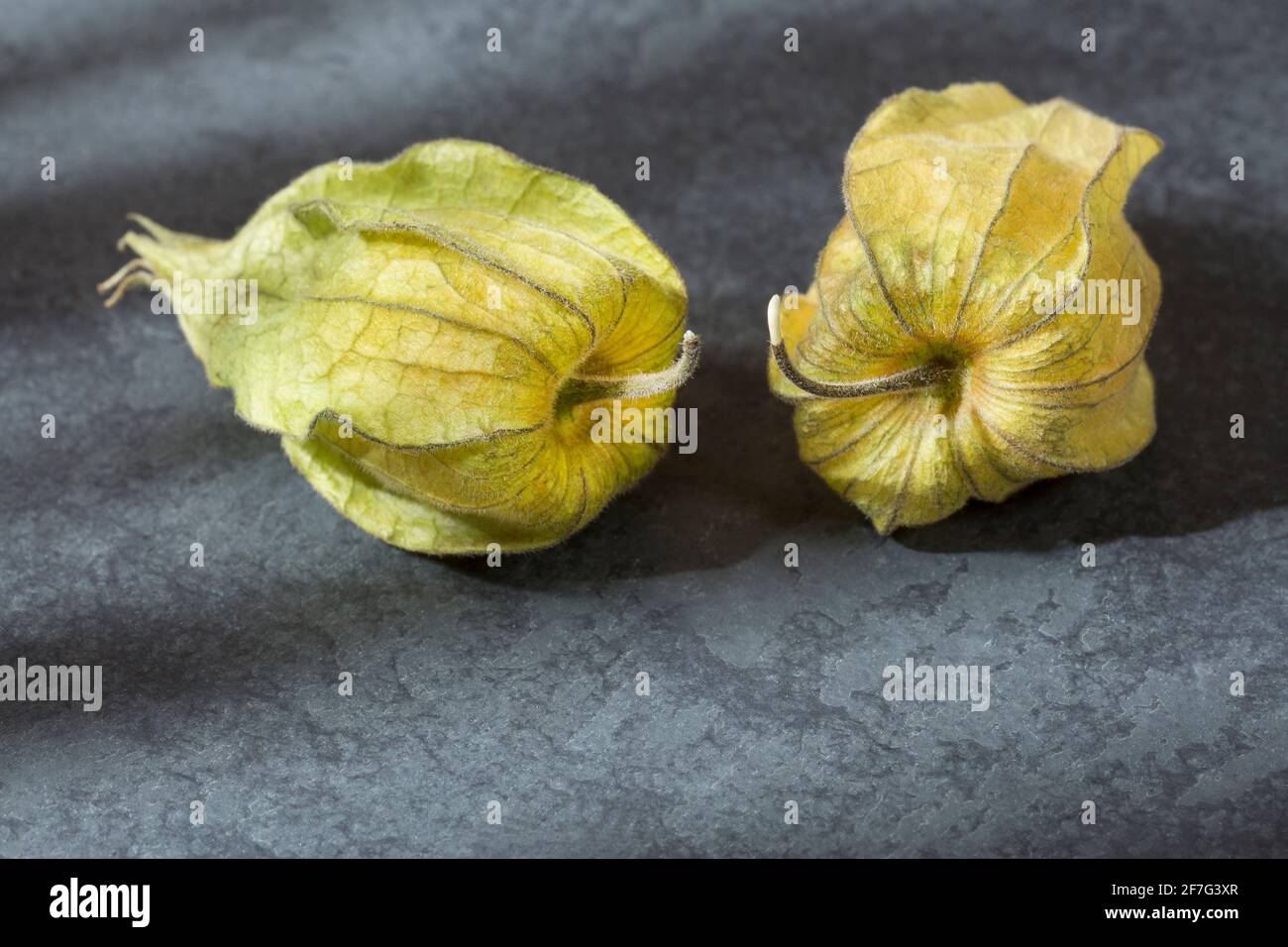Golden berry, tropical fruit uchuva. top view - Physalis peruviana ...