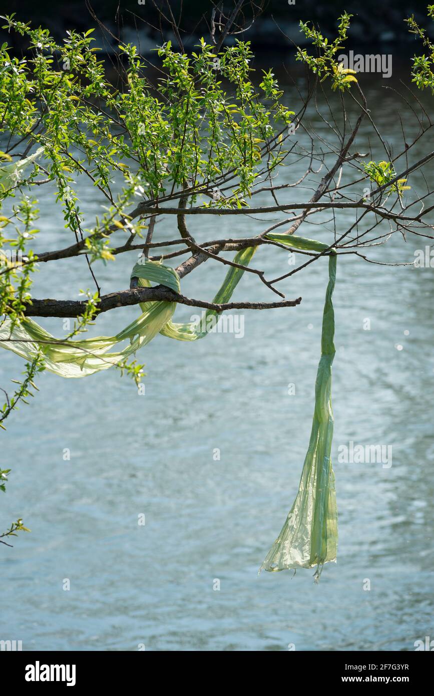 Plastic tree hi-res stock photography and images - Alamy