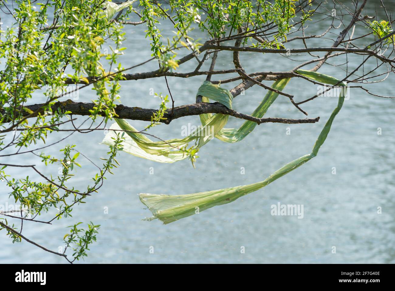 Plastic pollution in italy hi-res stock photography and images - Alamy