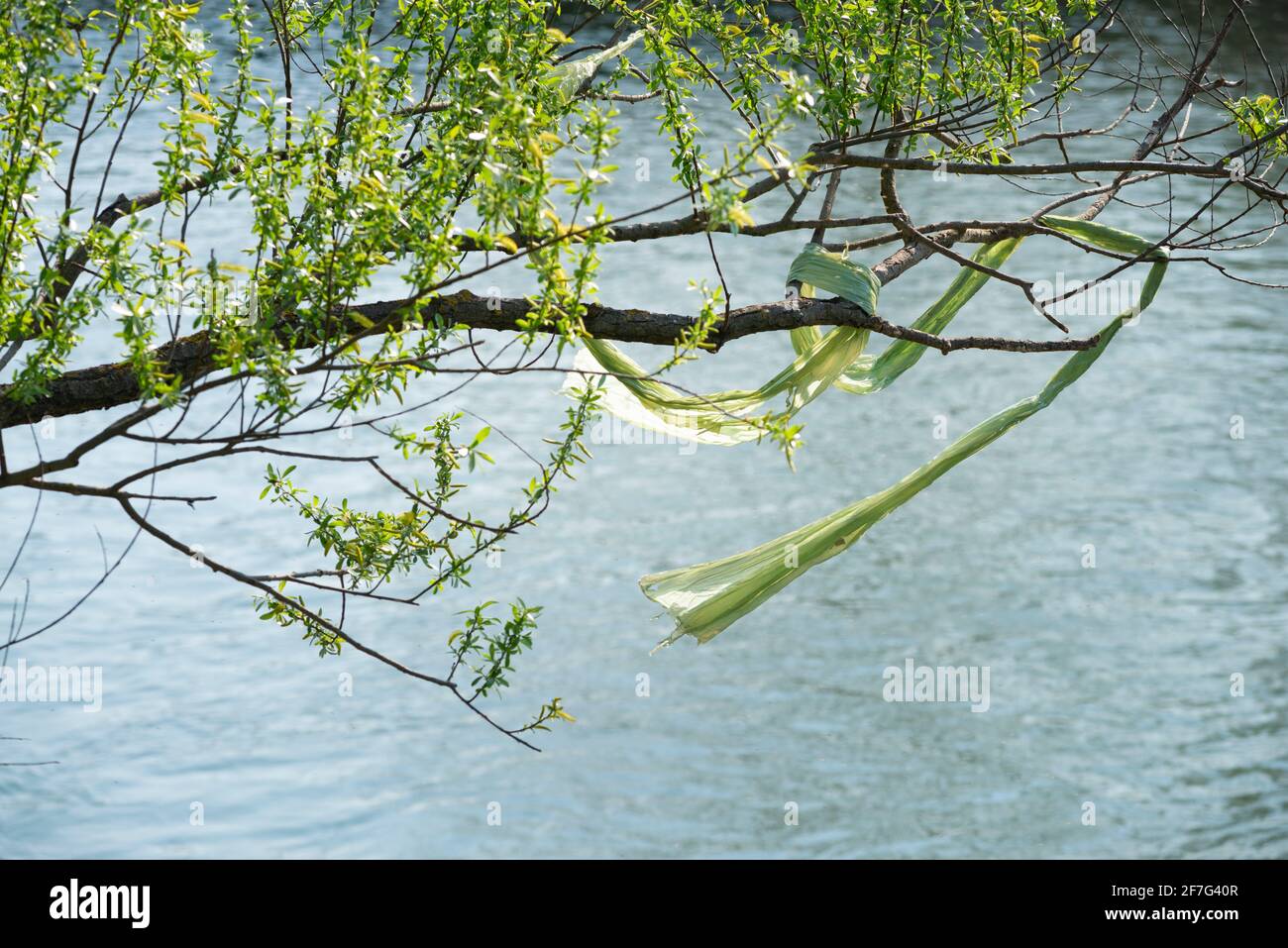Plastic pollution in italy hi-res stock photography and images - Alamy