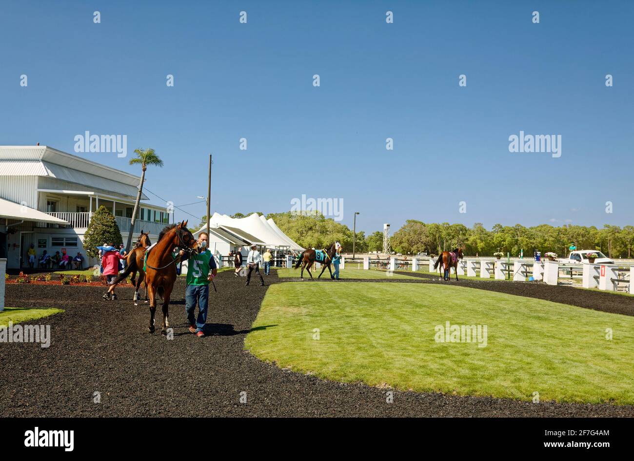 Paddock Area High Resolution Stock Photography and Images - Alamy