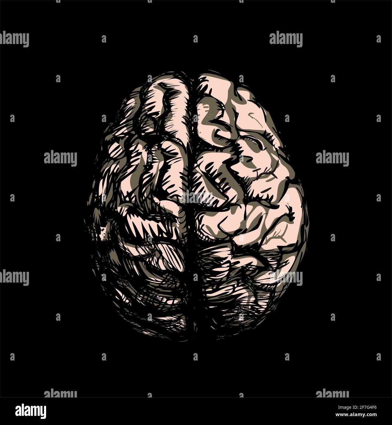 Illustration of human brain Stock Photo - Alamy