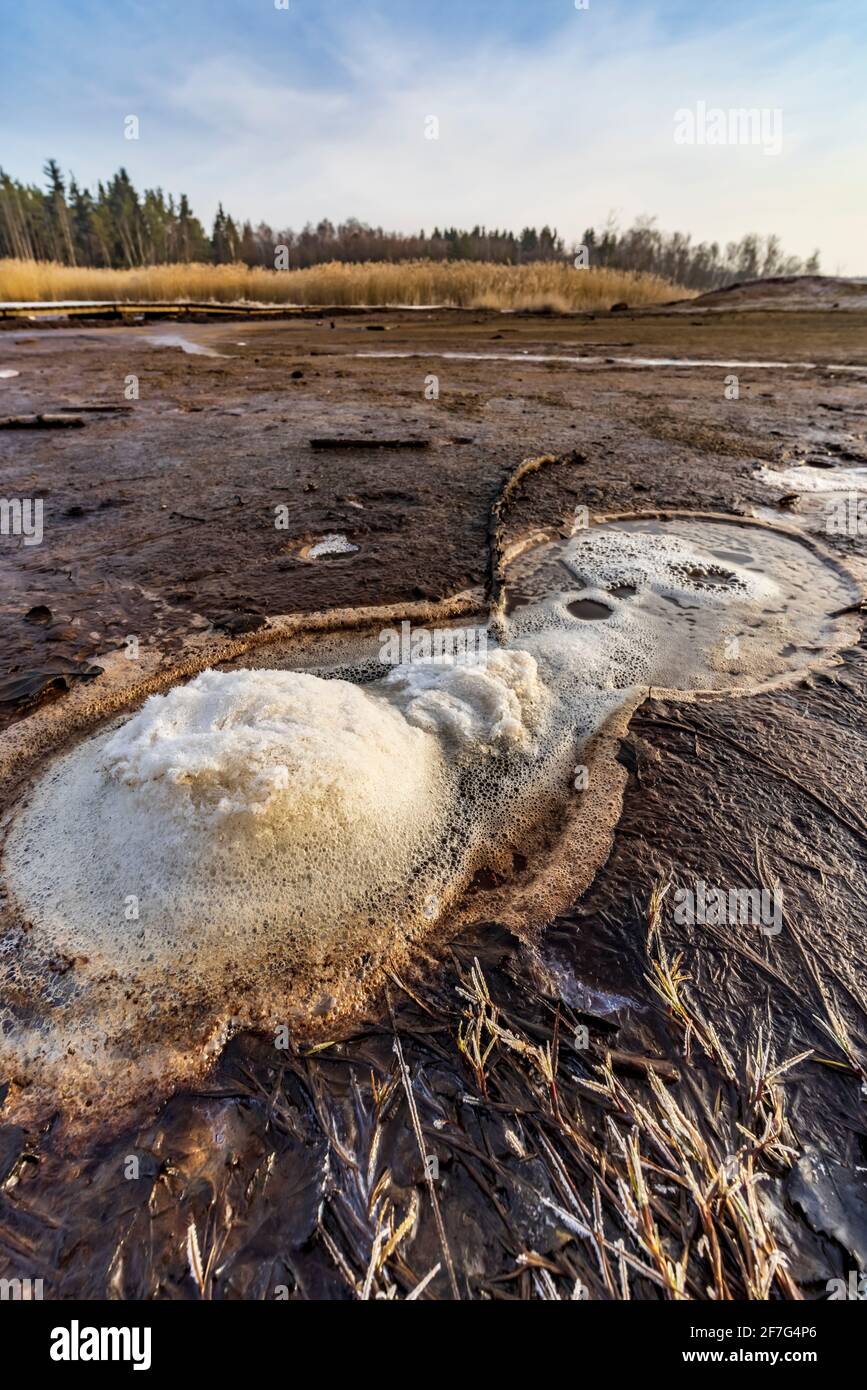 Soos nature reserve czech hi-res stock photography and images - Alamy
